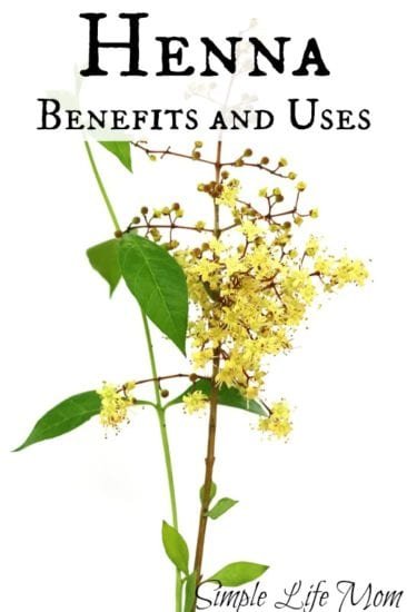 Uses and Benefits of Henna - Simple Life Mom