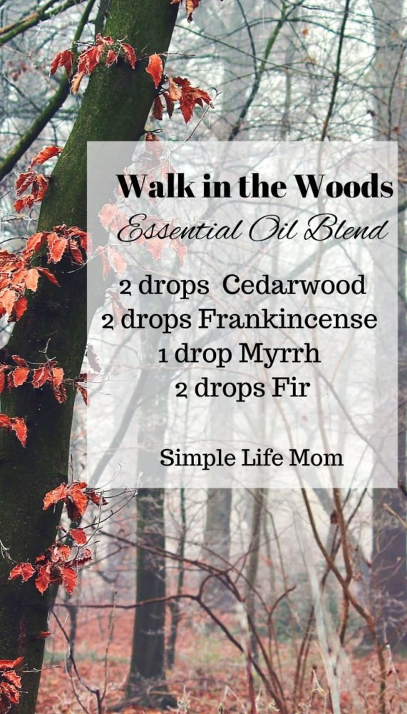 15 Fall Essential Oil Diffuser Blends – Easy Autumn DIY - Simple Life Mom