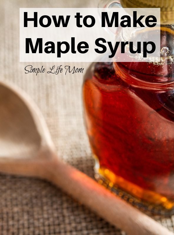 How to Make Maple Syrup: Processing Sap - Simple Life Mom