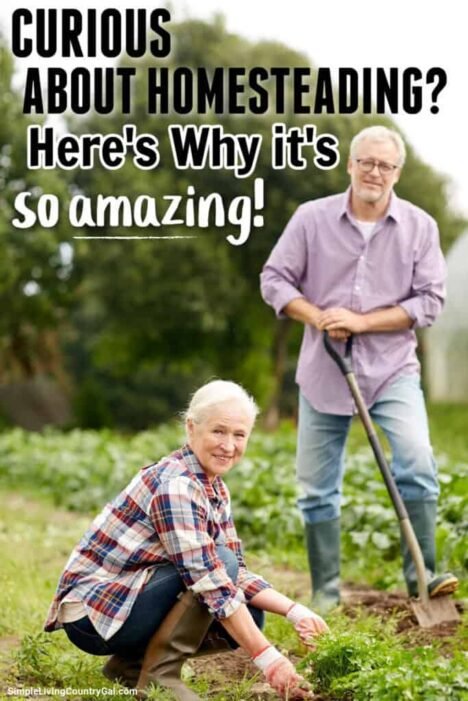 Homestead Blog Hop 549 – Why Homesteading is Amazing - Simple Life Mom